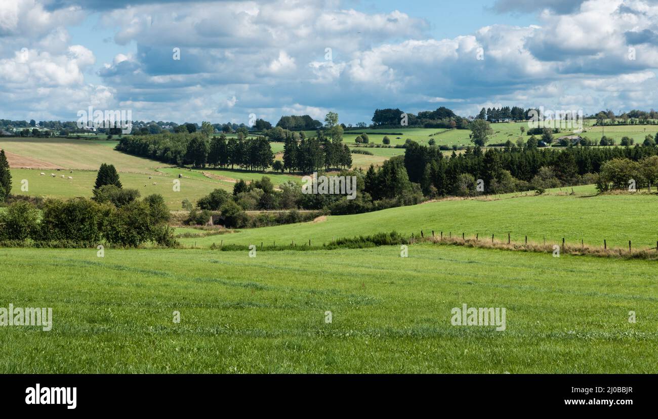 Nature landscapes with green hills at woods during summer at the East ...