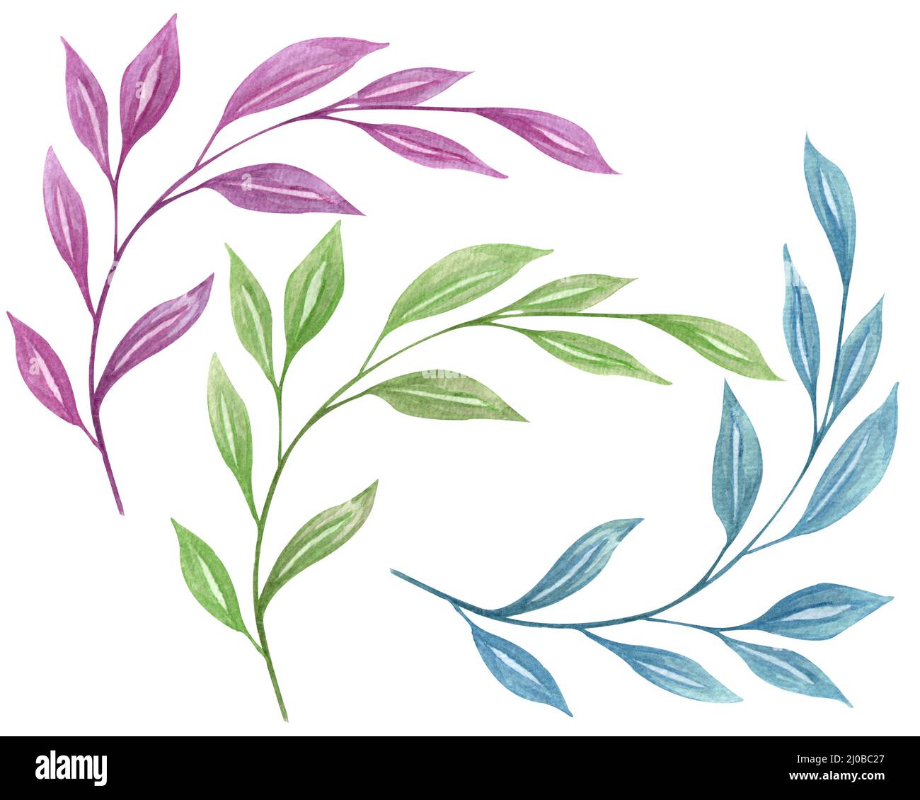 Tree With Leaves Drawing