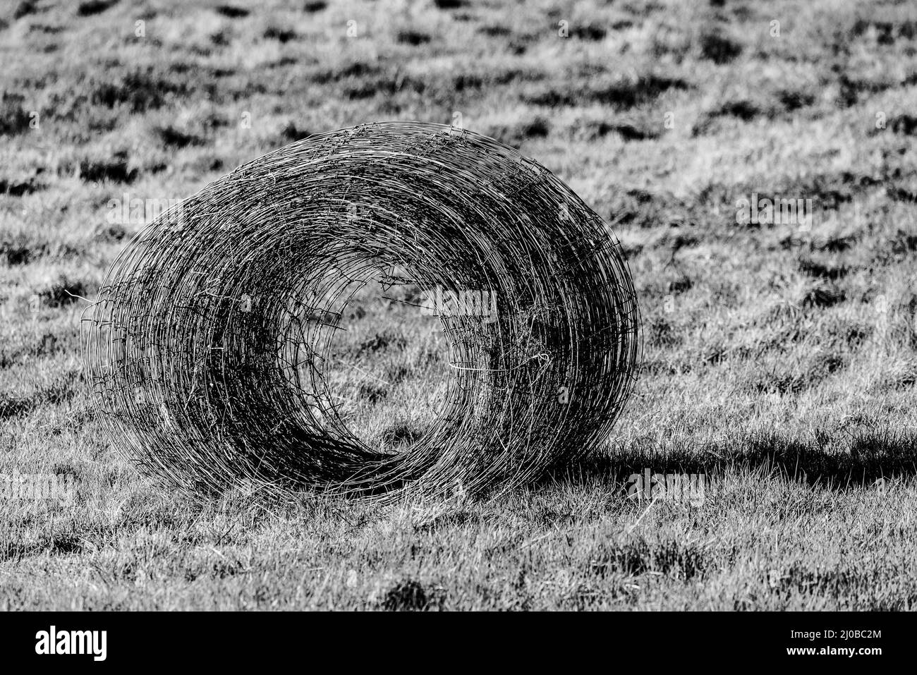 Coil of Wire Fencing in a Field Stock Photo - Alamy