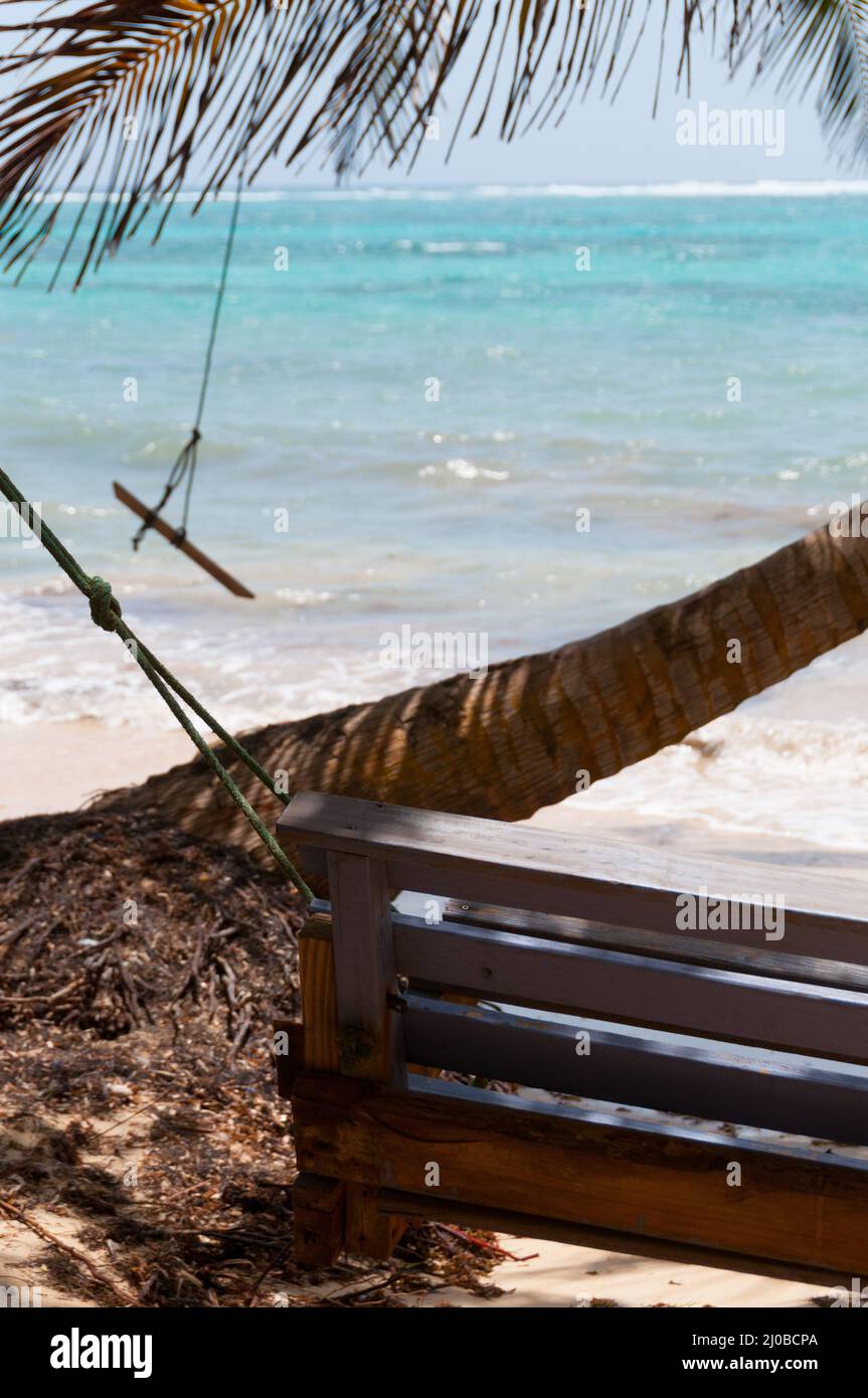 Wooden Bench Swing next to a palm tree in front of the caribbean white ...