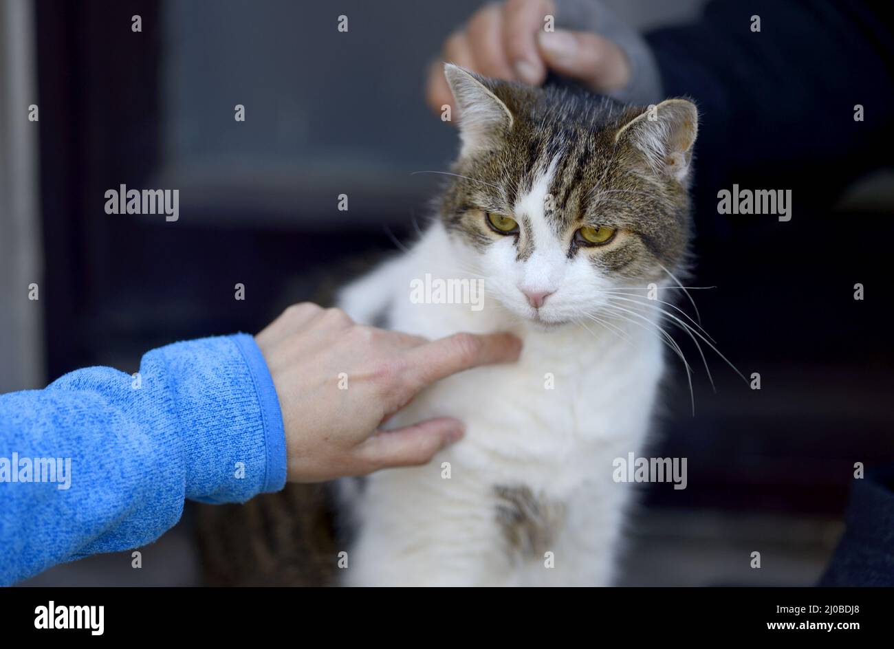 Giving something street hi-res stock photography and images - Alamy