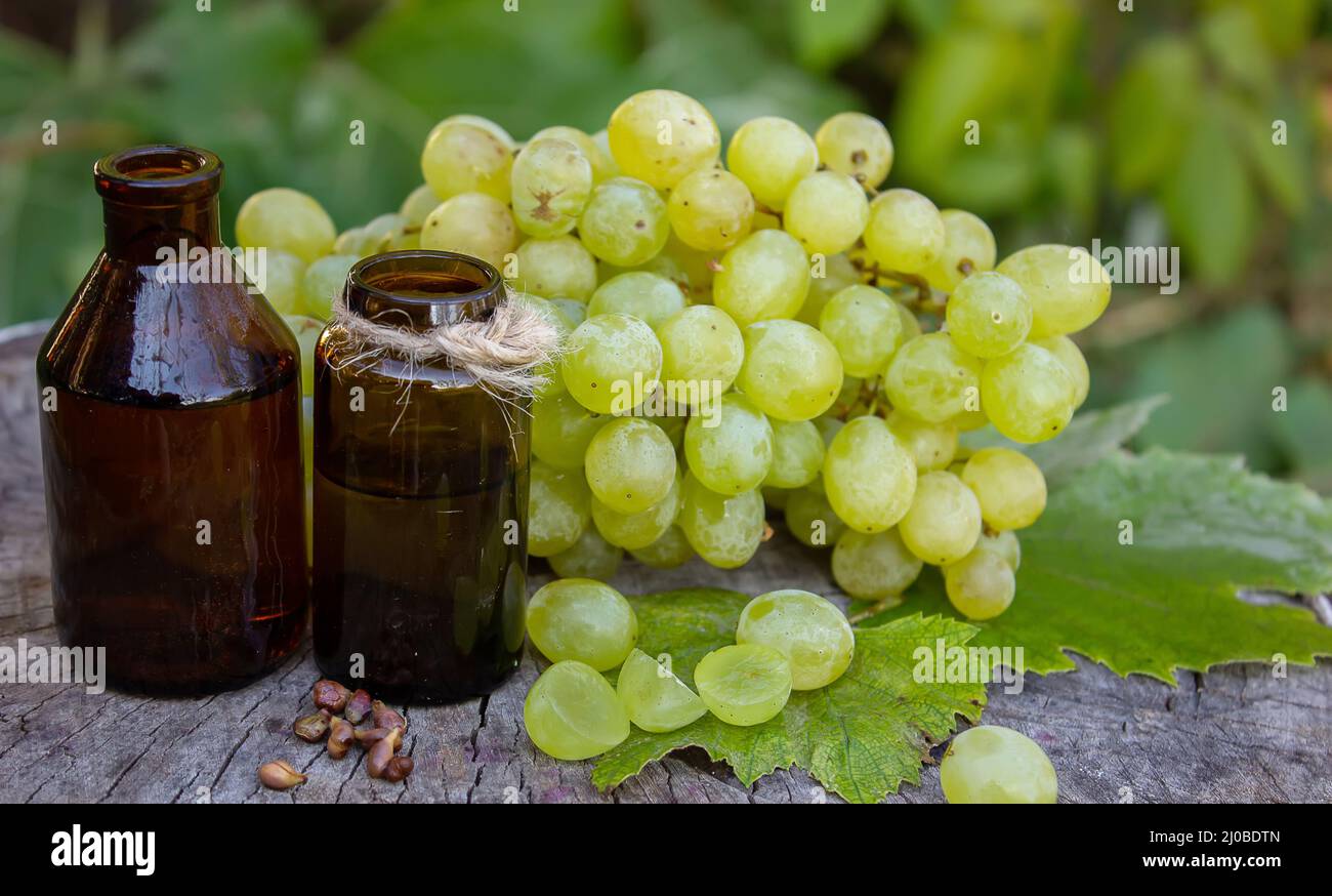Grape seed oil in a glass jar and fresh grapes for spa and body care ...
