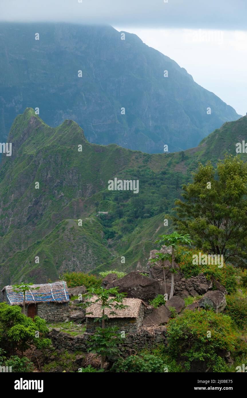 Simple rural stone house with tree on top of green mountain in Cape ...
