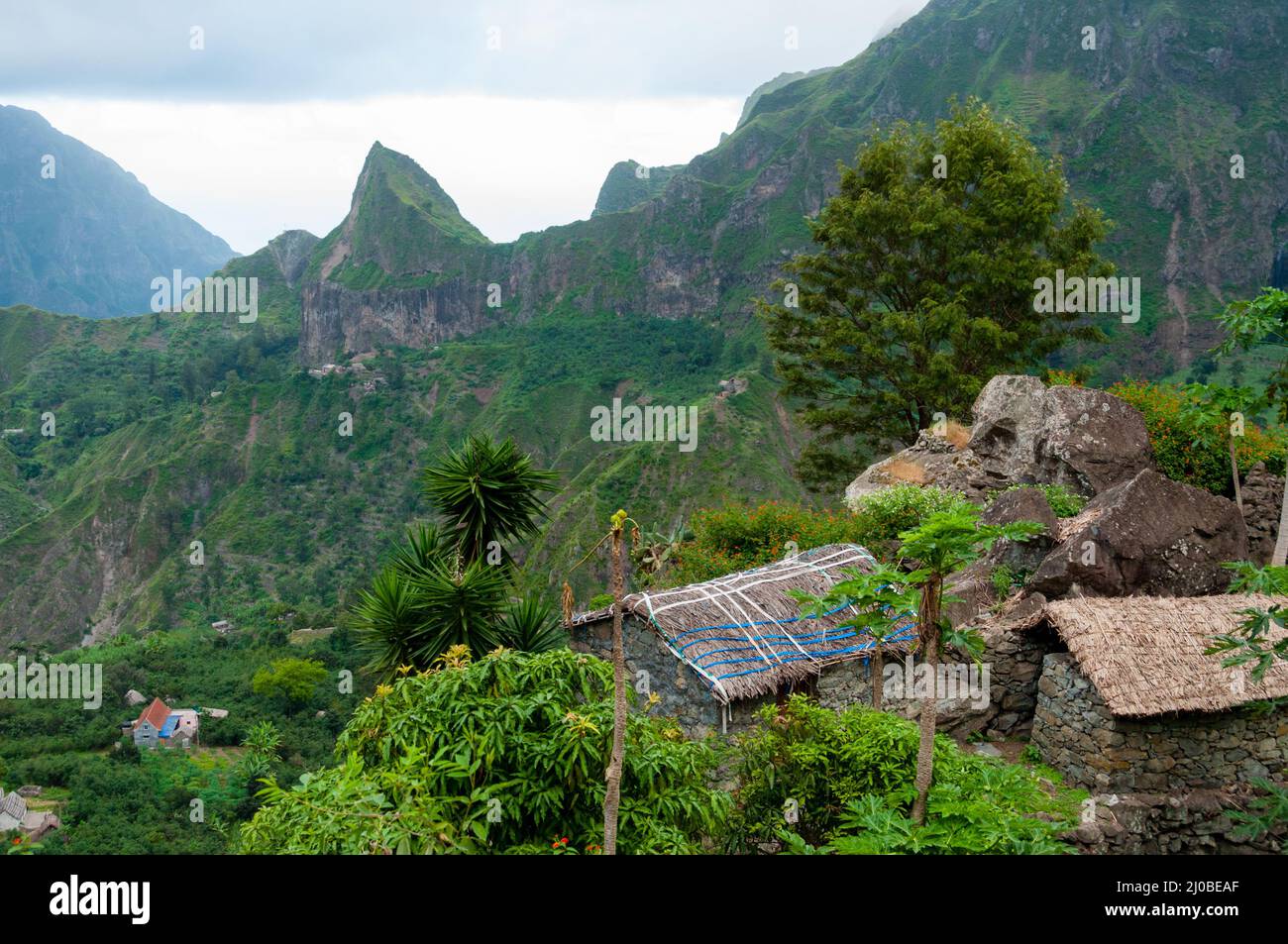 Simple rural stone house with tree on top of green mountain in Cape ...
