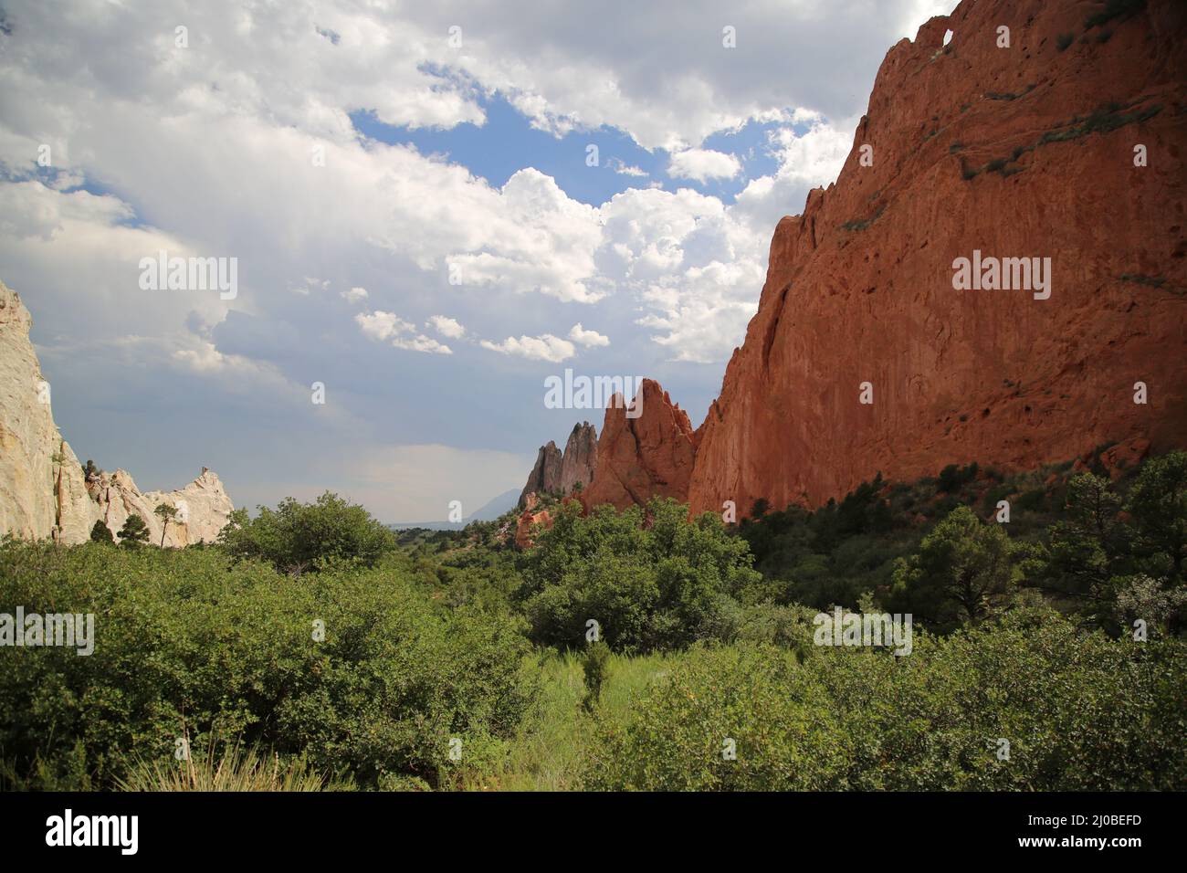 Bushy tree forest at the bottom of rock formations in the Garden of the ...