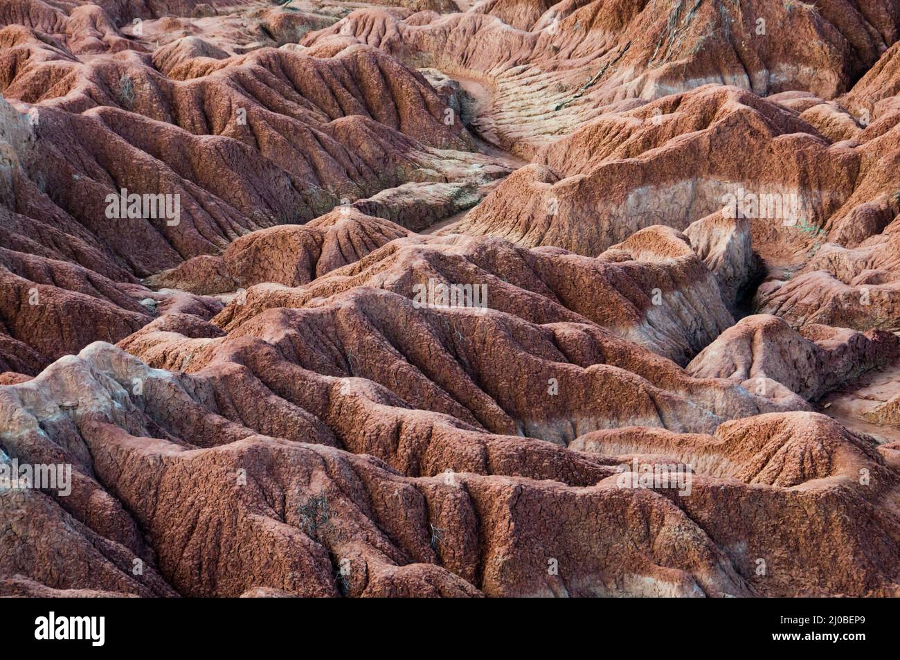 Drought red orange sand stone rock formation in Tatacoa desert, Huila ...