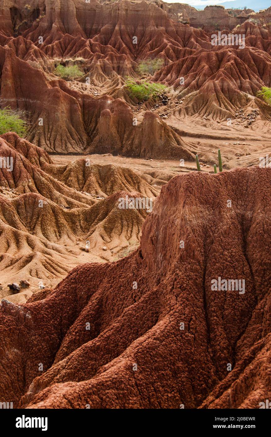 Big red sand stone cliff in front of dry hot tatacoa desert with plants ...