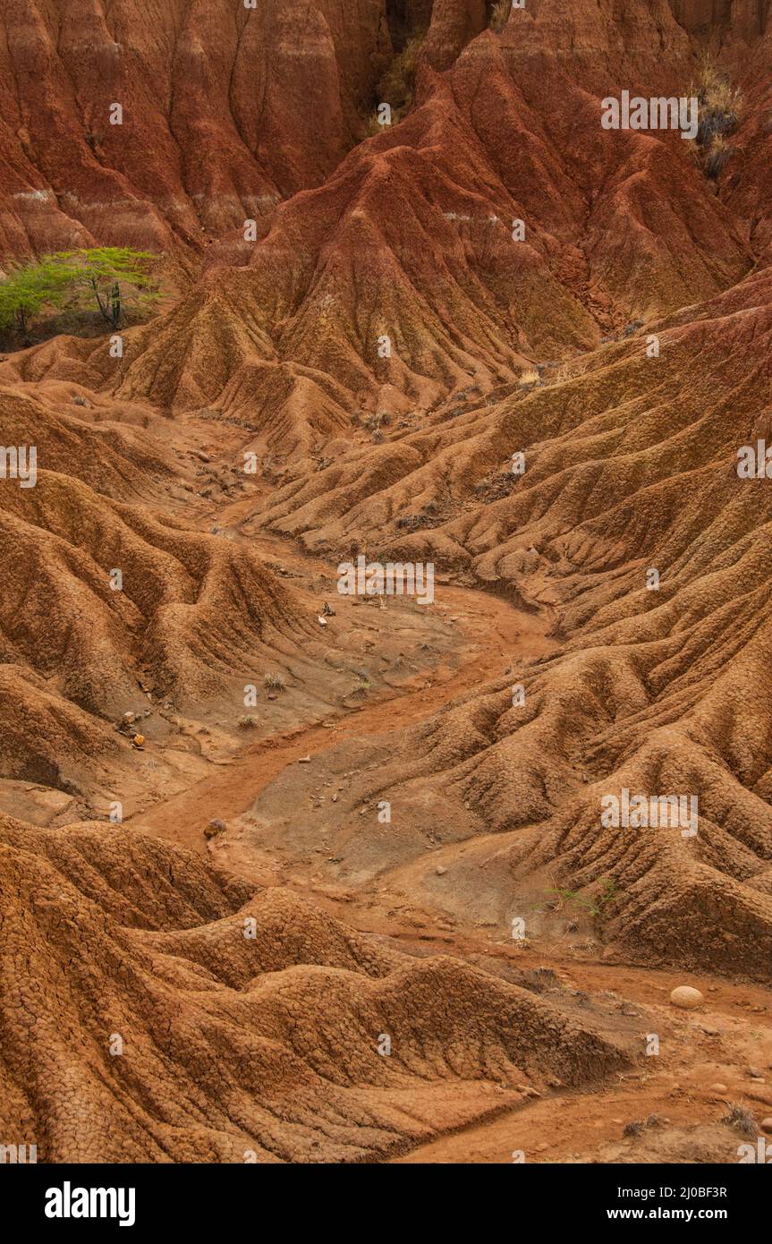 Dry valley red orange sand stone rock formation in hot desert of ...