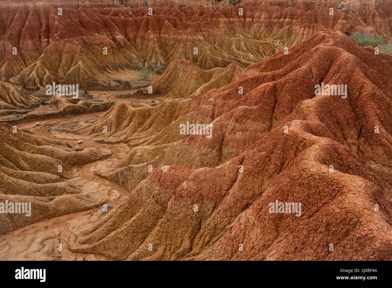 Drought red orange sand stone rock formation in Tatacoa desert, Huila ...