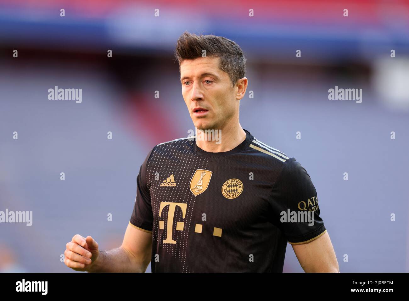 Lewandowski body hi-res stock photography and images - Alamy