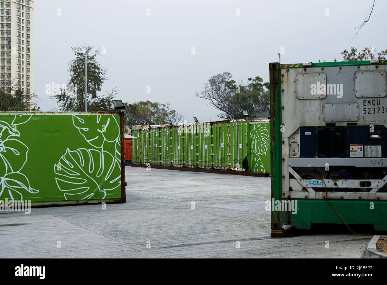 Hong Kong, China. 18th Mar, 2022. Refrigerated containers are seen at ...