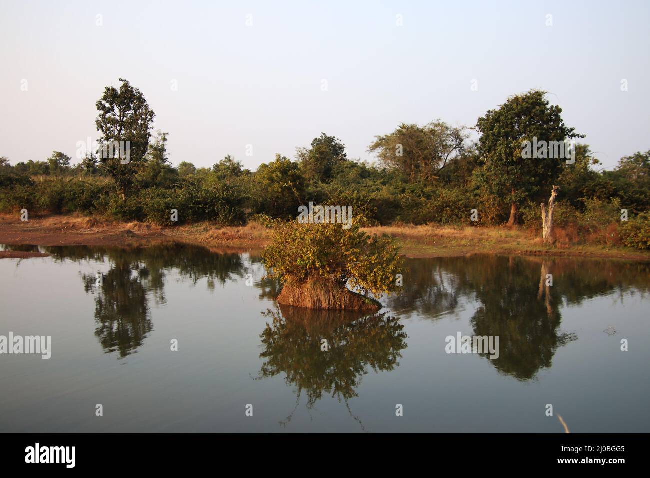 Tree at a river r hi-res stock photography and images - Alamy