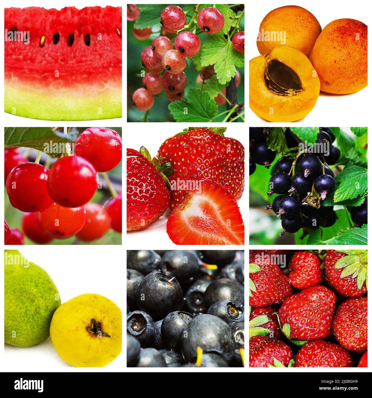 Set of nine fruit and berries in a square design Stock Photo - Alamy