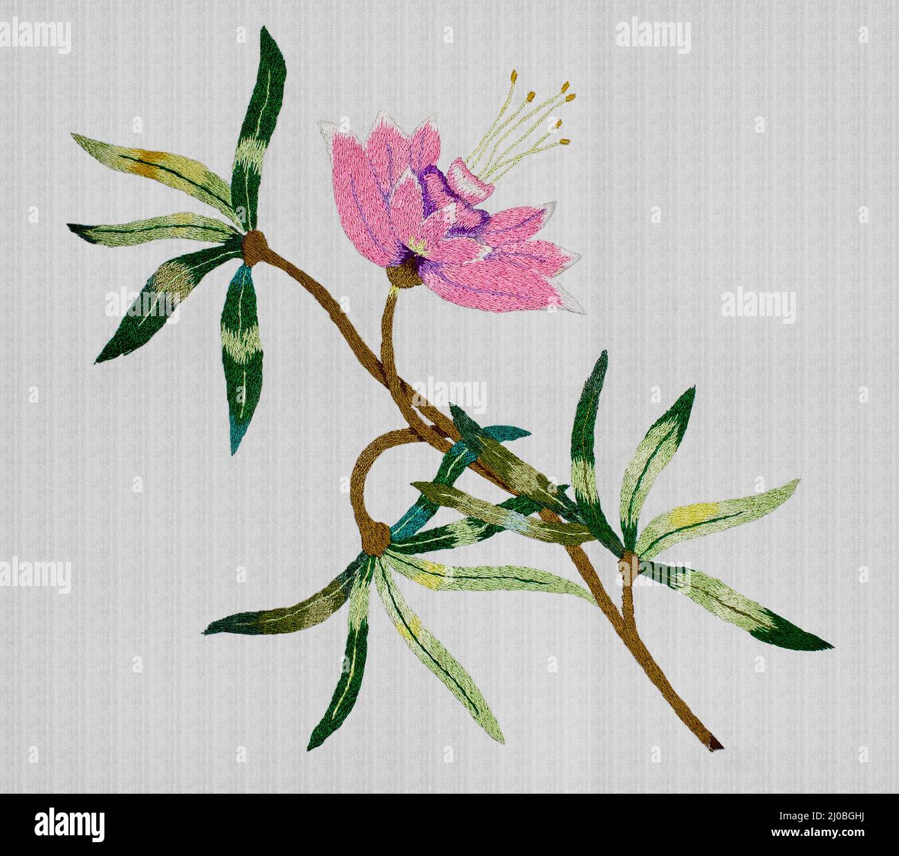 White background with embroidered pink flower closeup Stock Photo - Alamy