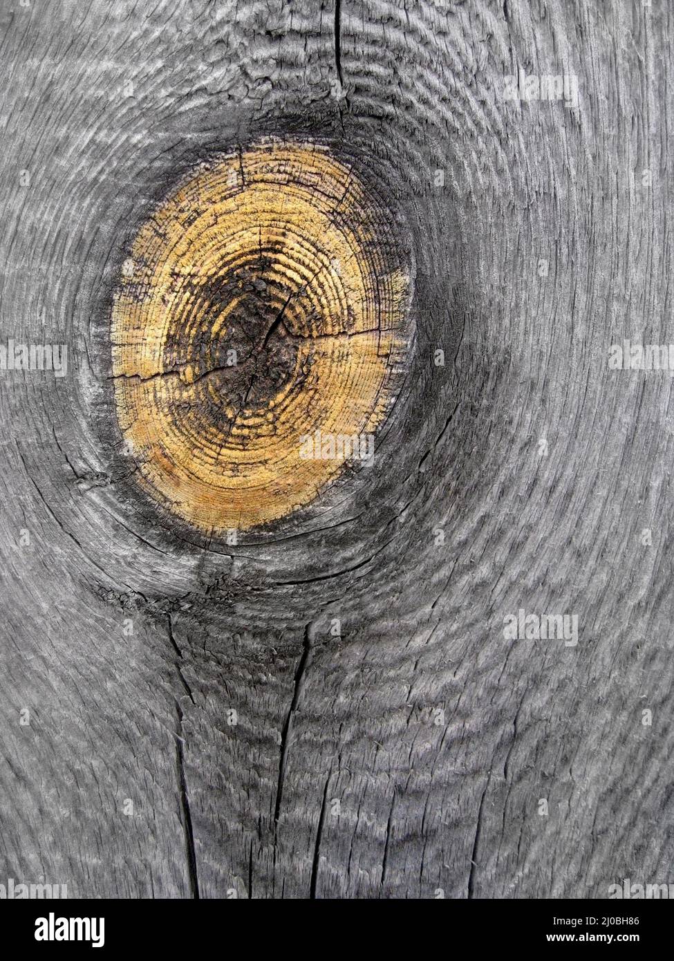 Pitch texture hi-res stock photography and images - Alamy