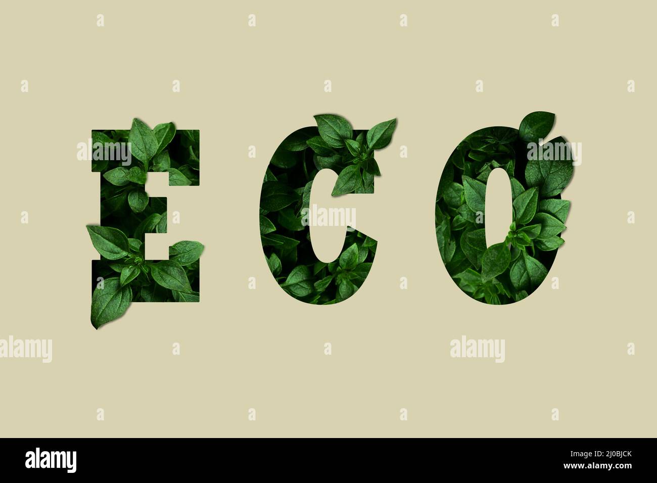 Creative eco text. Plants sprout through letters Stock Photo - Alamy
