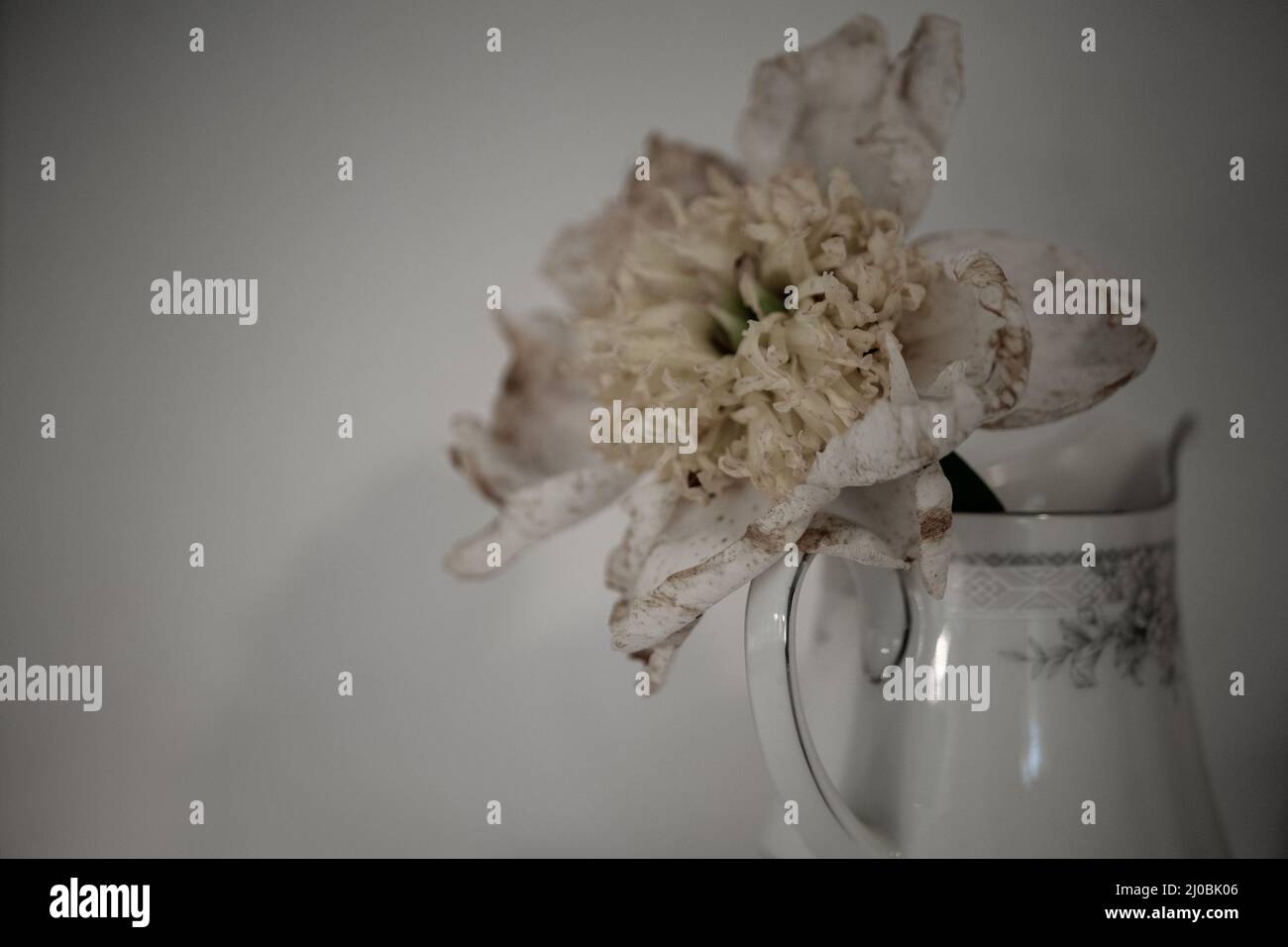 Decayed petals hi-res stock photography and images - Alamy