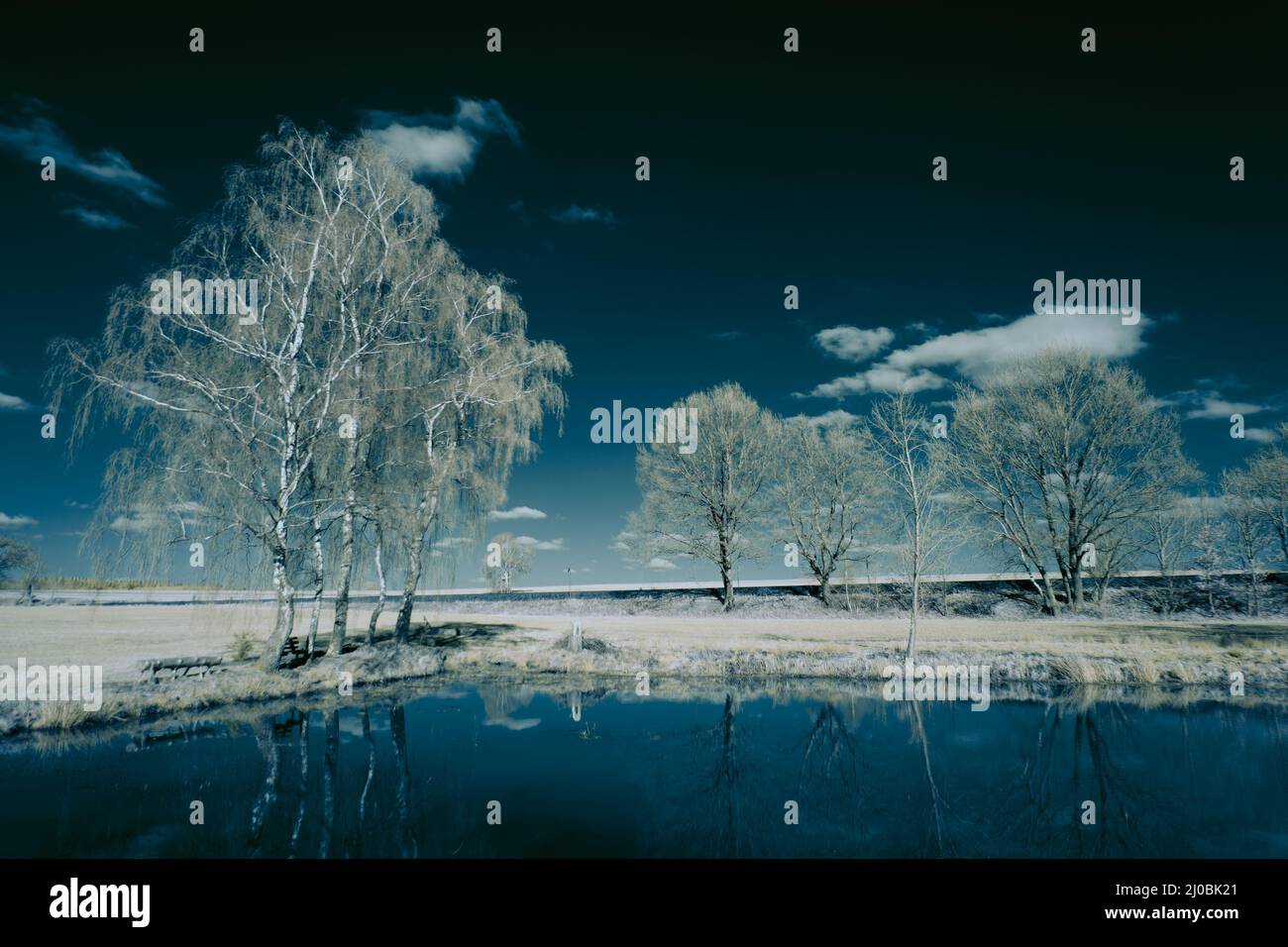 Infrared 720nm landscape with glowing white vegetation, surreal ...