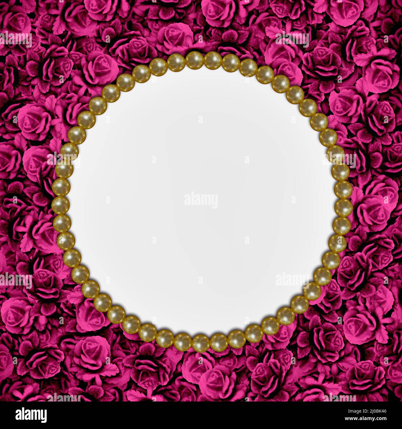 Purple round flowers hi-res stock photography and images - Alamy