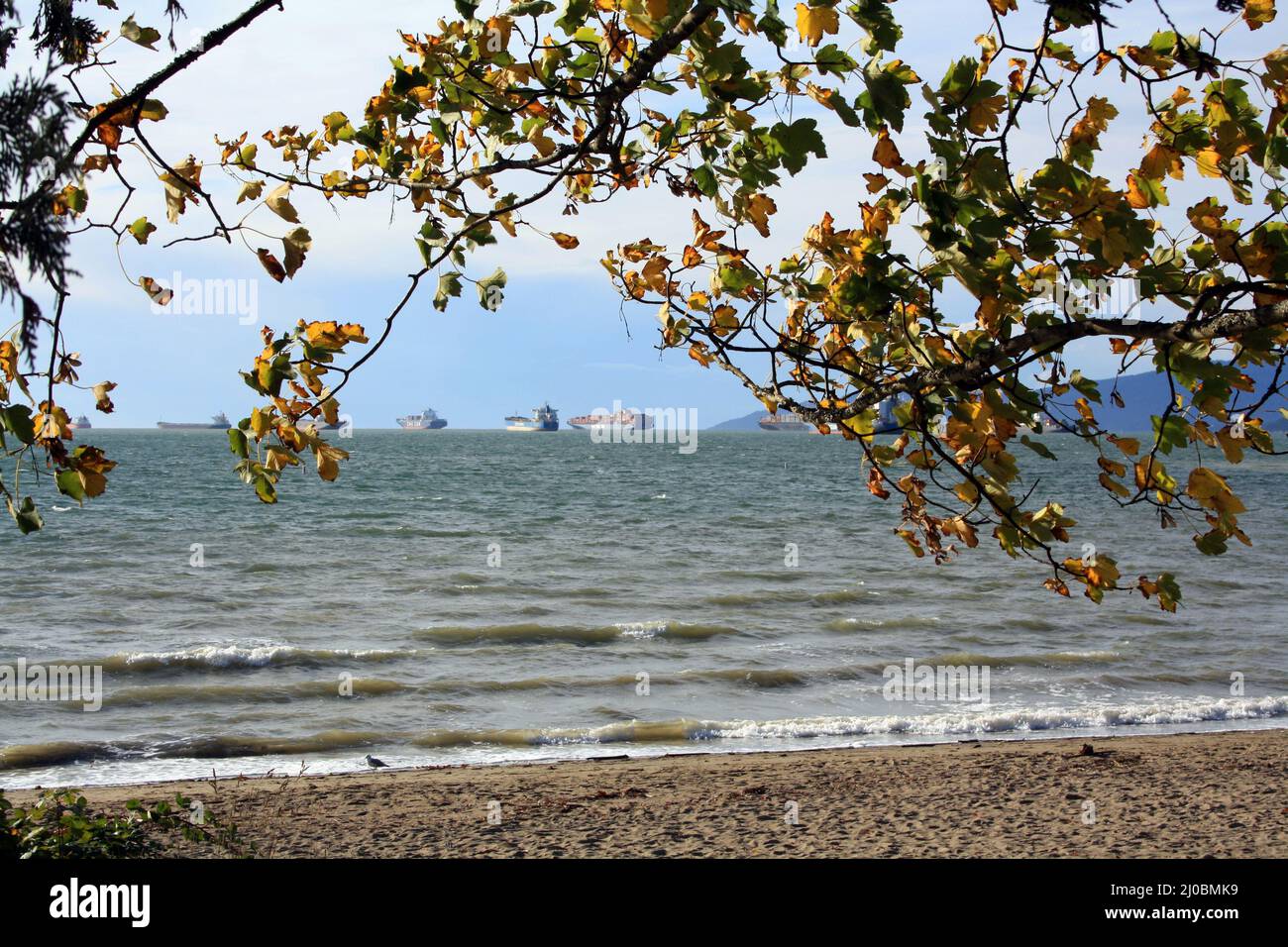 Cargo ships in english bay hi-res stock photography and images - Alamy