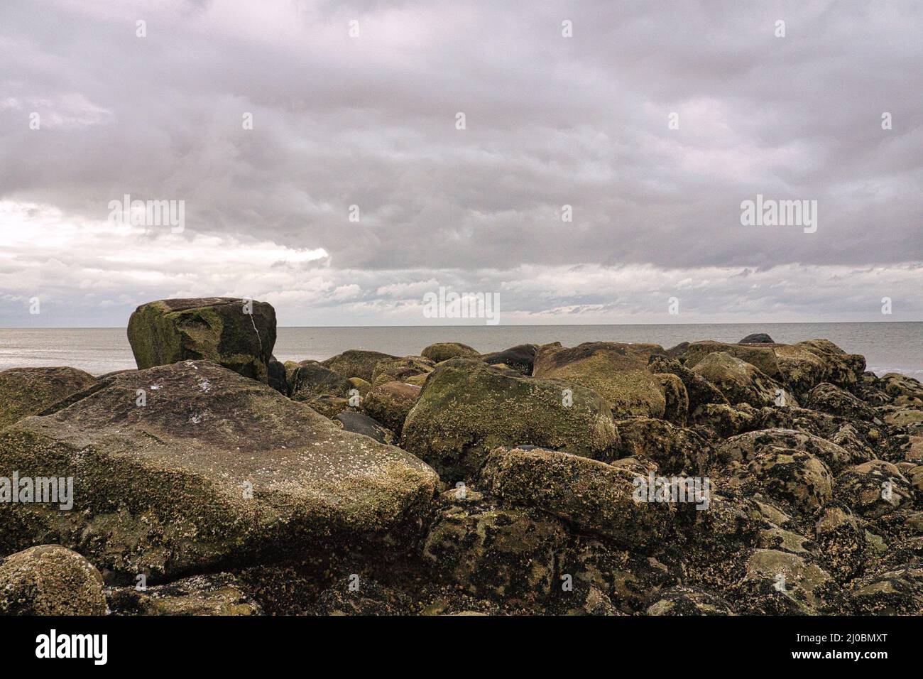 Stone groynes going into the sea on the beach in Blåvand Denmark ...