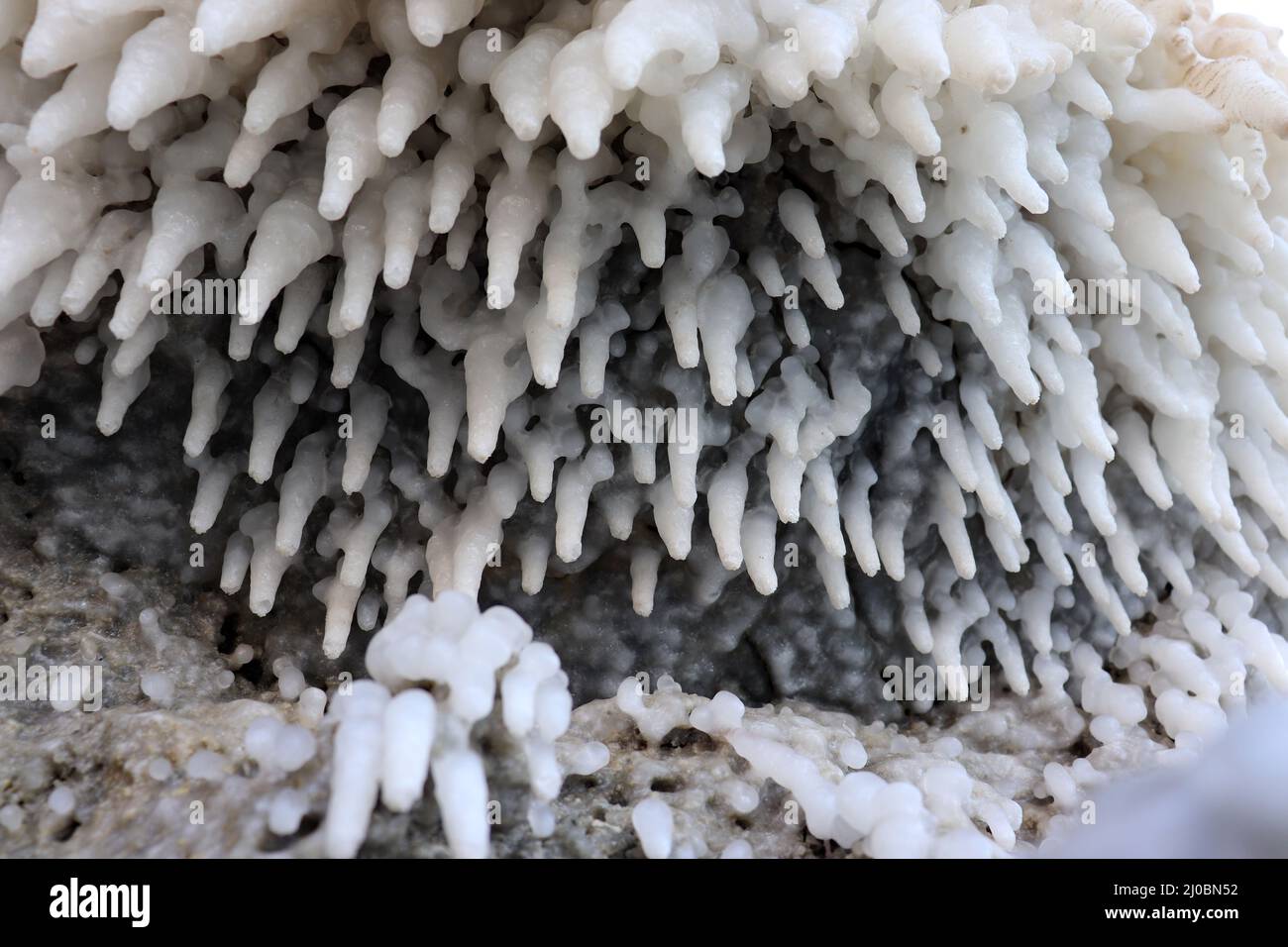 Dead Sea in Jordan (salts, white crystal) beautiful sea water and beach ...