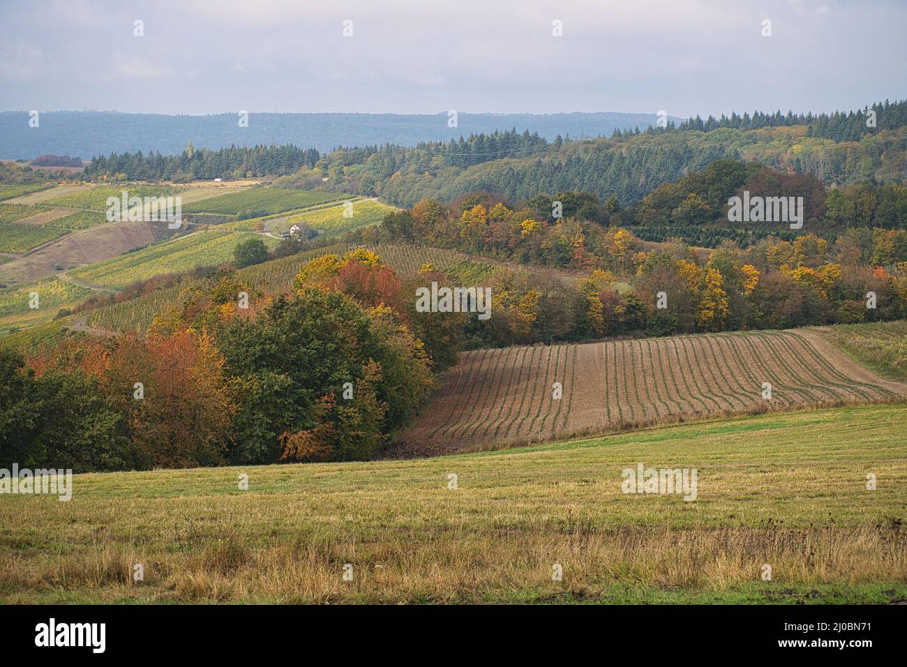 landscape with hills, fields, meadows, and agriculture. Hiking in ...