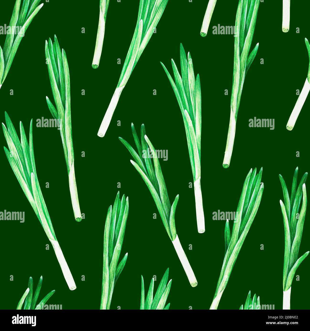 Green vegetable illustration pattern hi-res stock photography and ...
