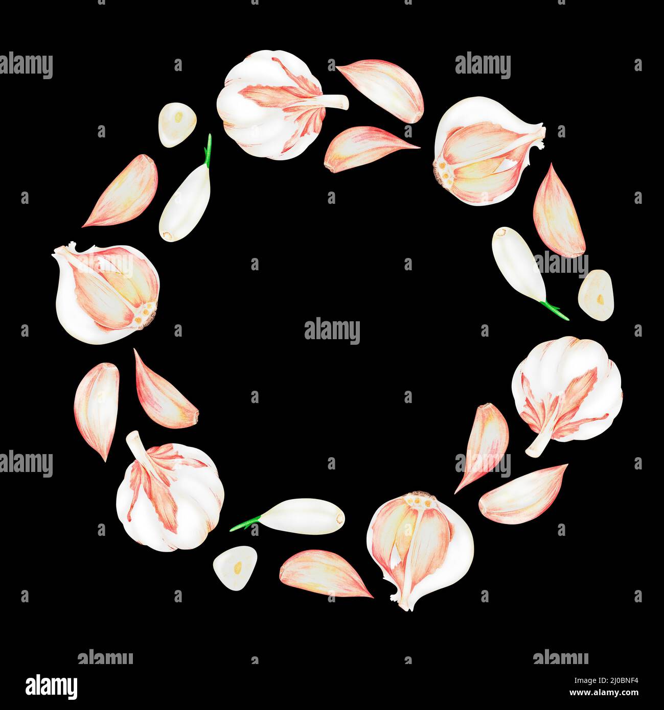 Garland of garlic. Circle, wreath. Watercolor illustration. Isolated on ...