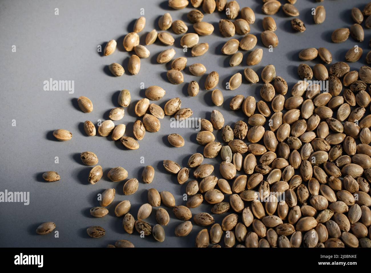 Marijuana seeds hi-res stock photography and images - Alamy