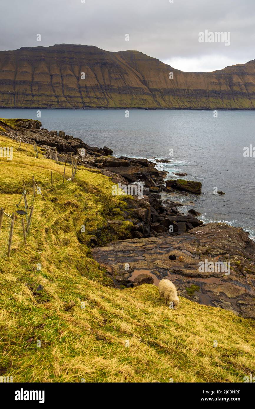 Steep shore, mountain landscape on the island of Eysturoy. Cloudy ...
