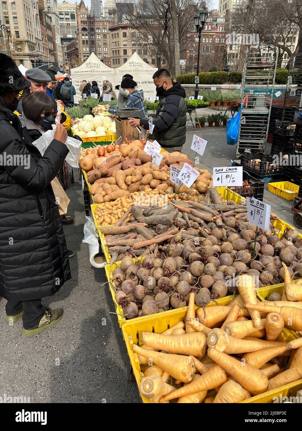 Root new york hi-res stock photography and images - Alamy