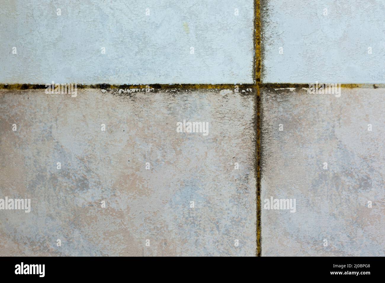 Detail Of The Mold On The Tiles Stock Photo - Alamy