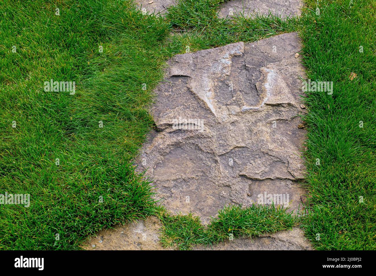 Garden path made of natural rough stone rock overgrown with turf lawn ...