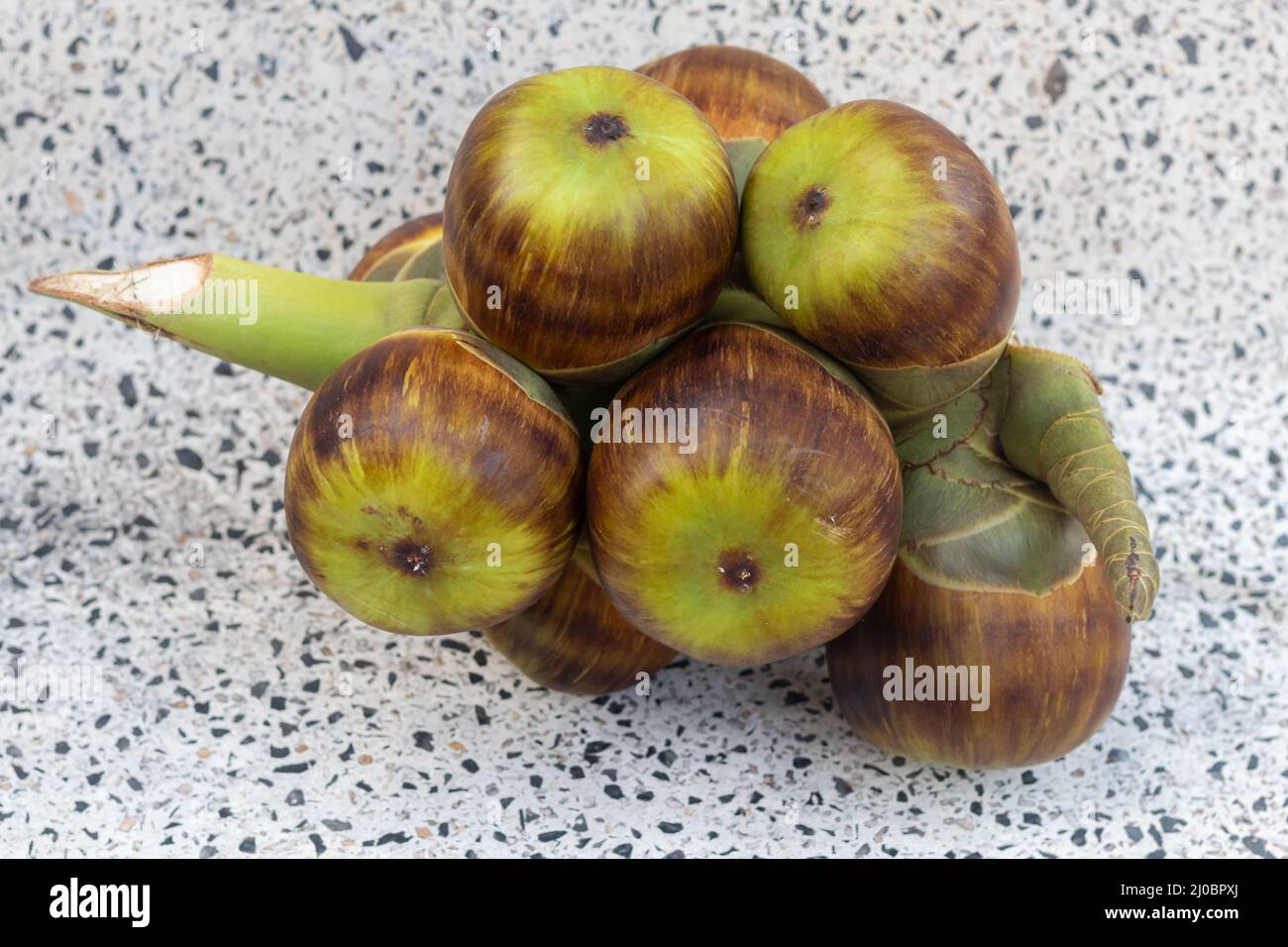 Tali pot hi-res stock photography and images - Alamy