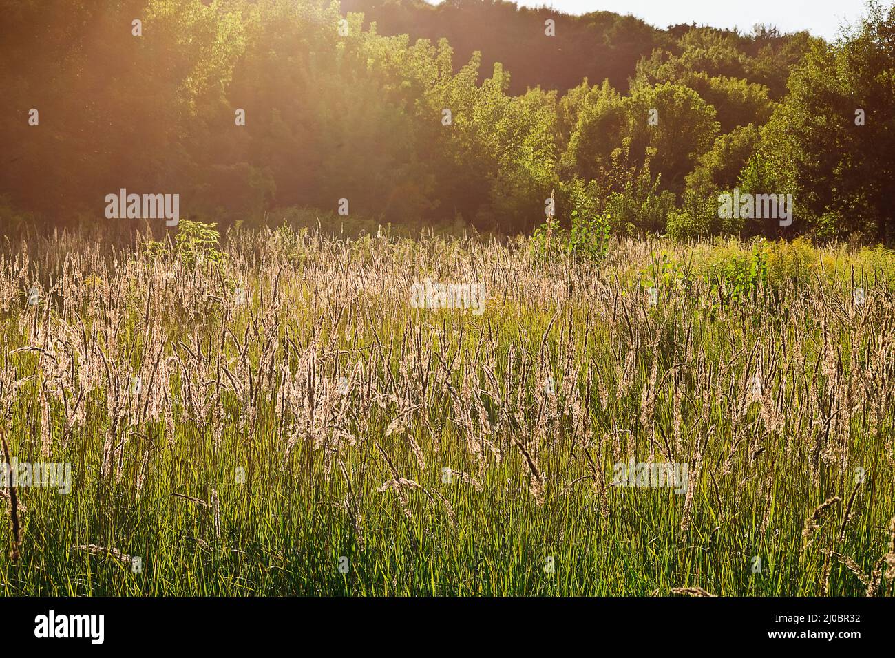 Warm colors hi-res stock photography and images - Alamy