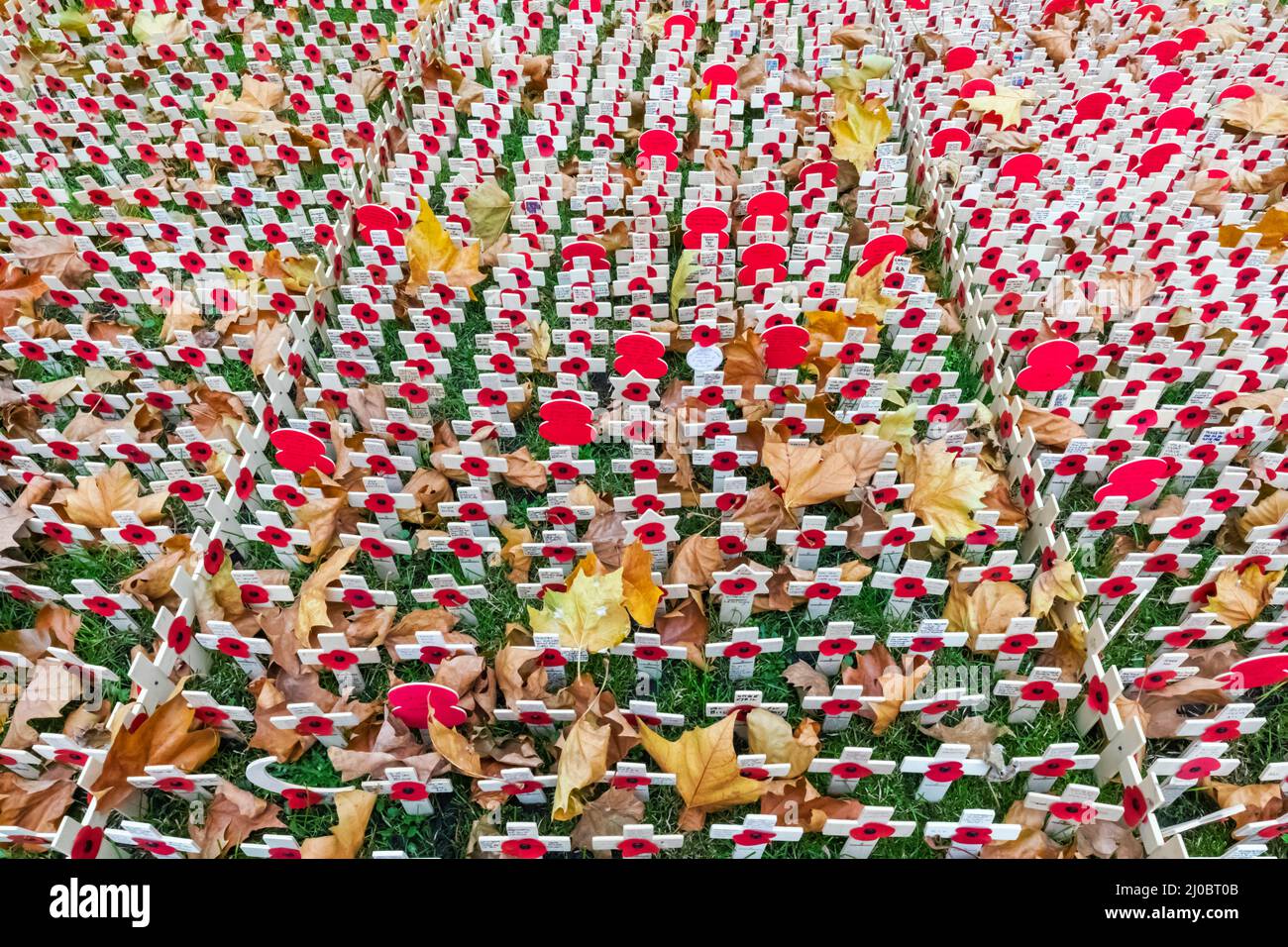 England, London, Westminster Abbey, The Field of Remembrance, Display ...