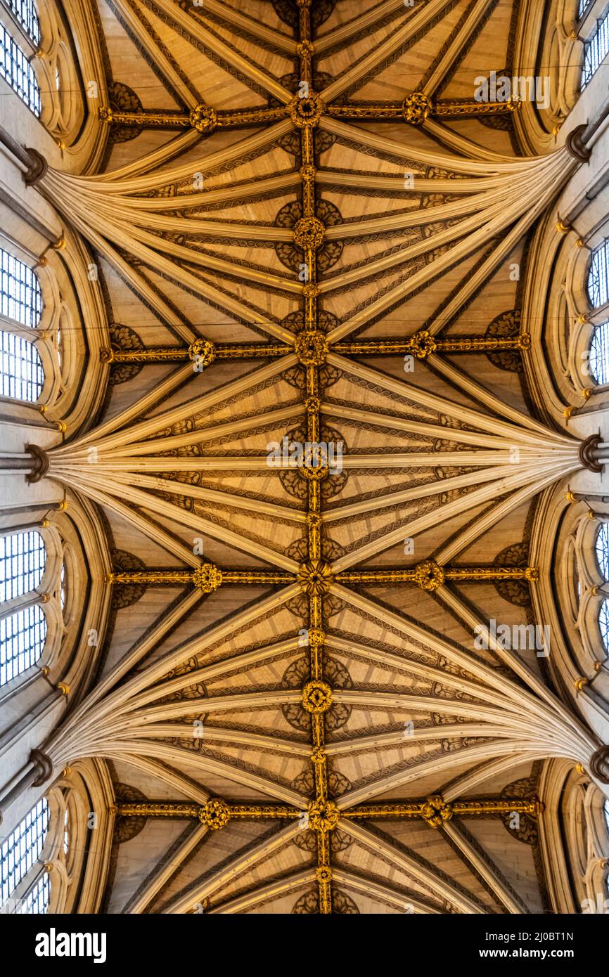 Westminster Abbey Ceiling