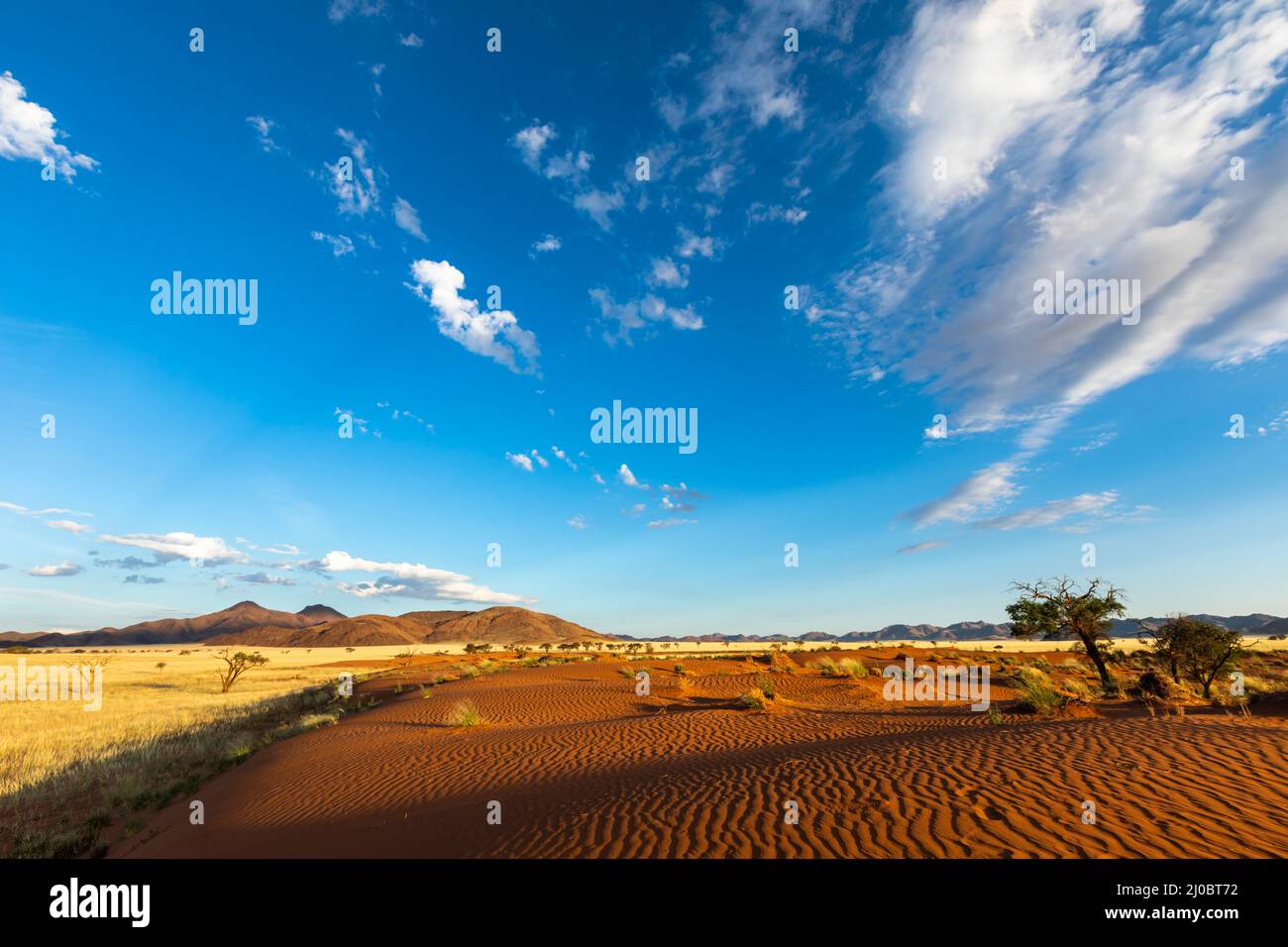 Wind patterns in the sand on the dune in the Namib Desert Namibia Stock ...