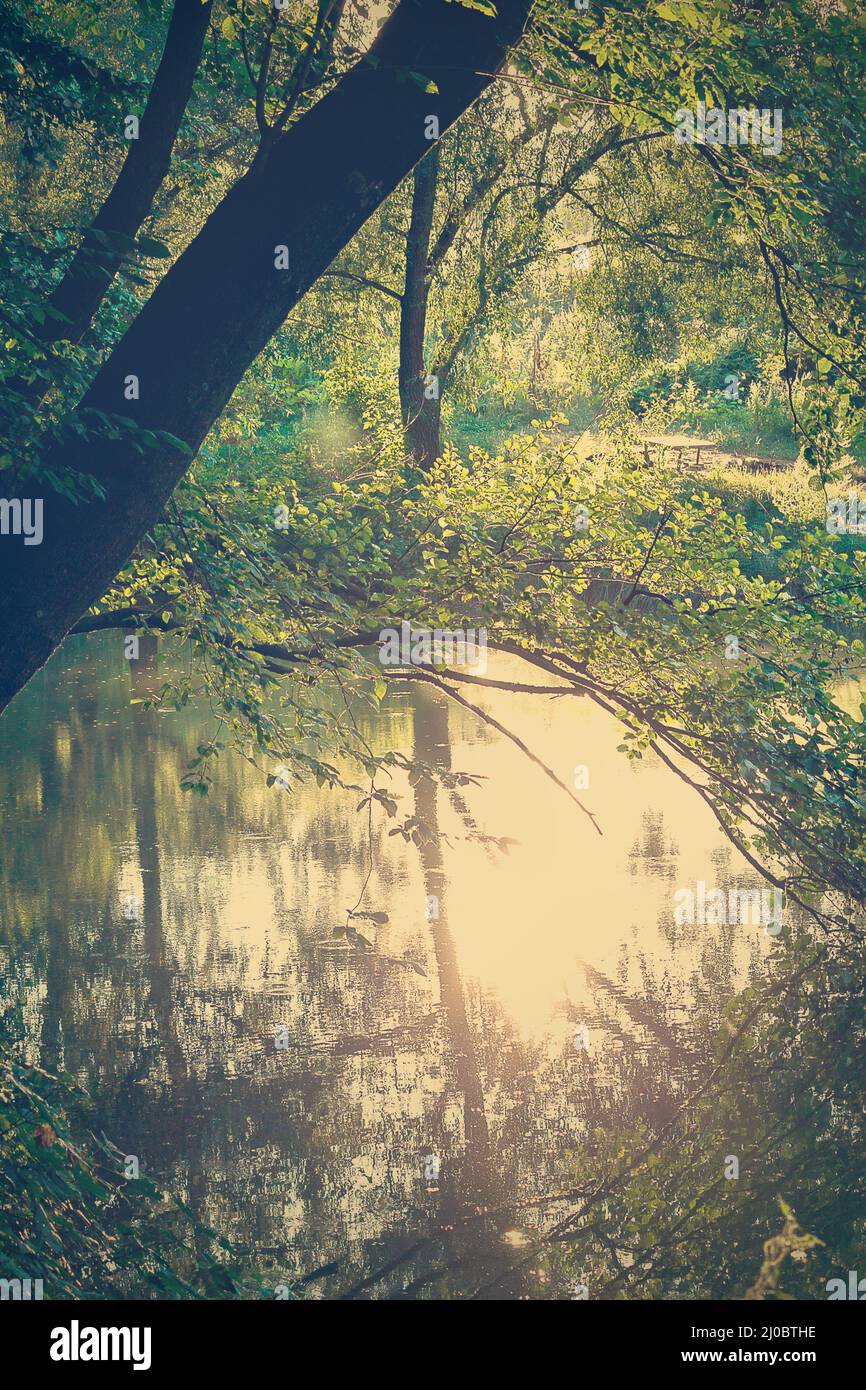 Landscape with forest lake in retro processing Stock Photo - Alamy