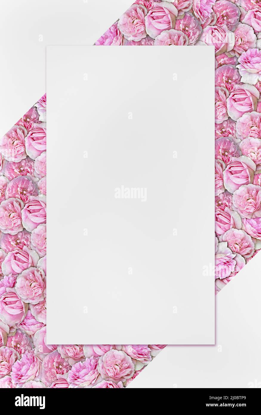 Background with a pattern of pink roses and space for text Stock Photo ...