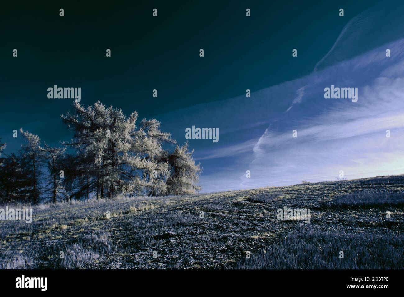 Infrared 720nm landscape with glowing white vegetation, surreal ...