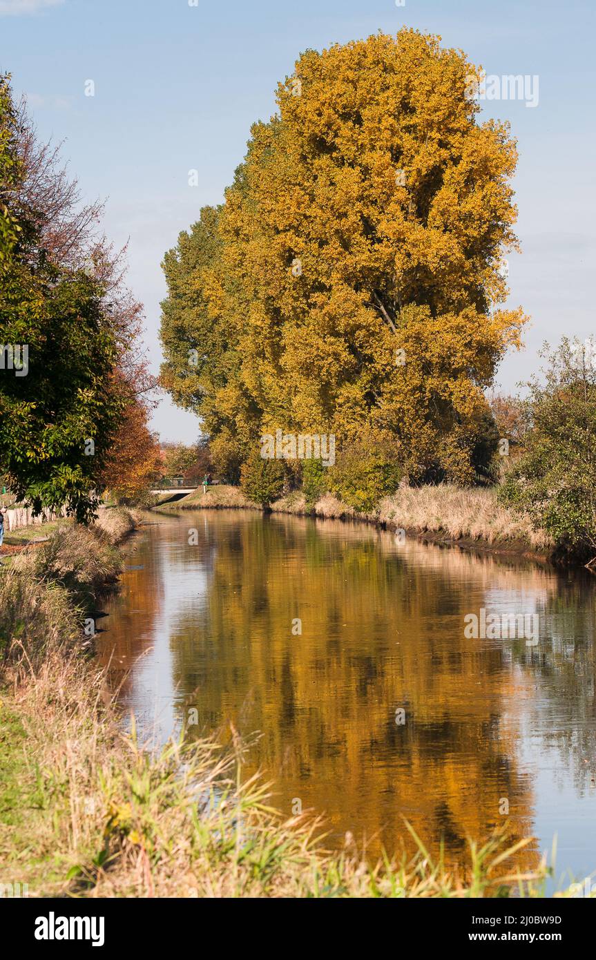 Autumn stream hi-res stock photography and images - Alamy