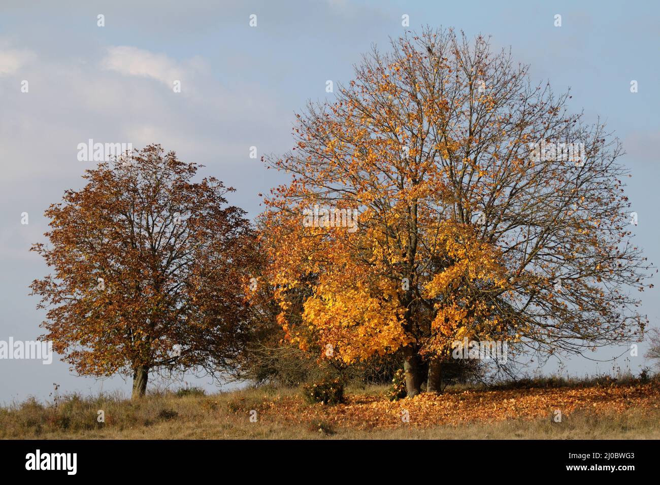 Autumnal german alps hi-res stock photography and images - Alamy