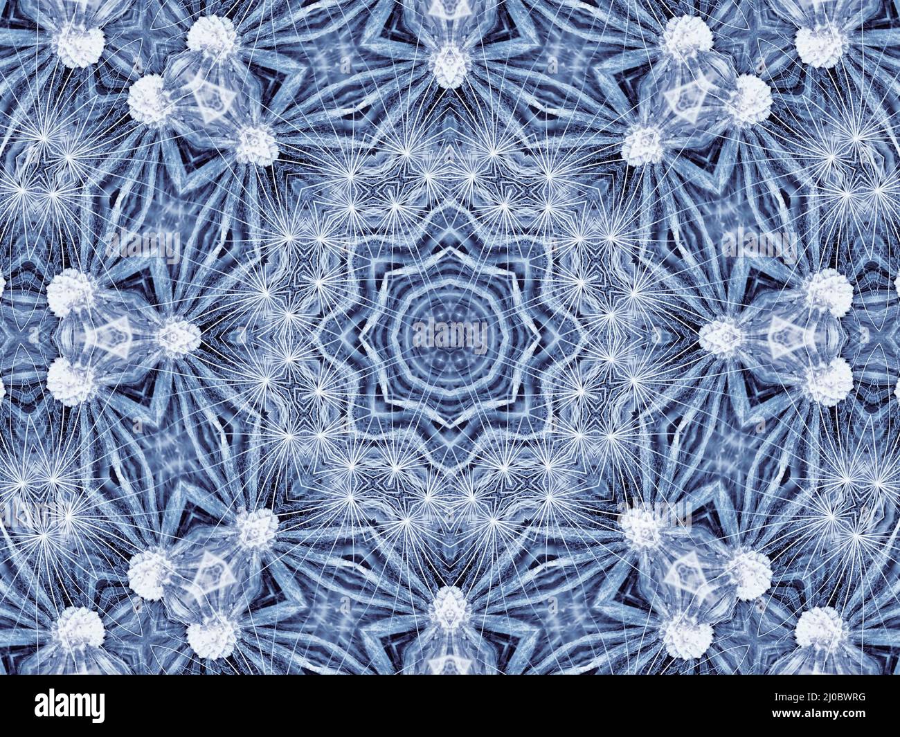 Abstract radial pattern of natural large dandelion flower Stock Photo ...