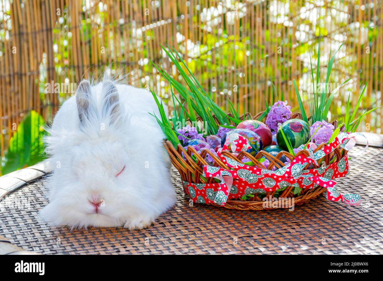Basket of easter eggs hi-res stock photography and images - Alamy
