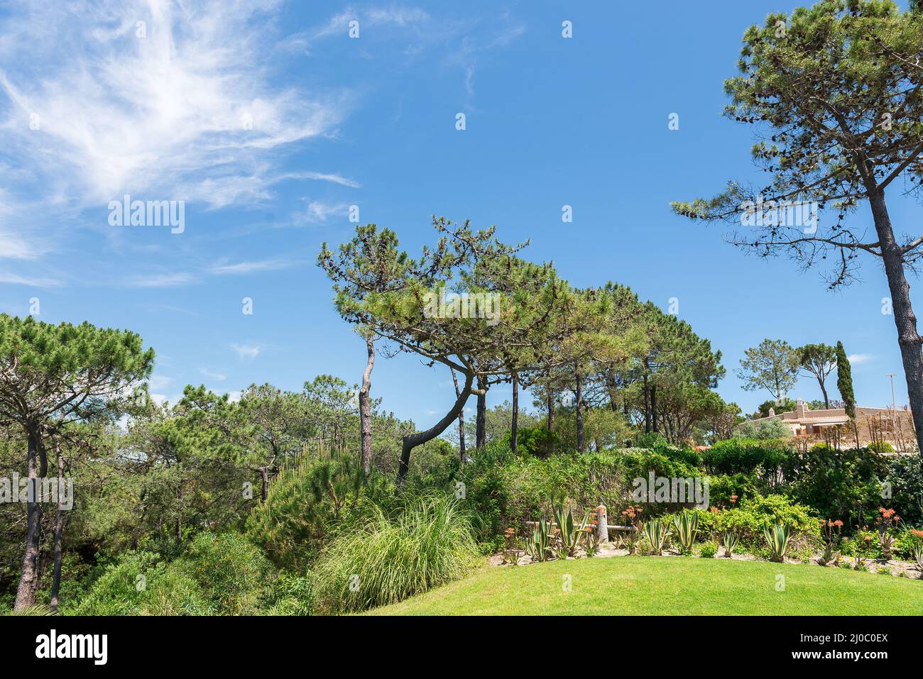 Houses and buildings in Wolf Valley (Vale do Lobo), Algarve Stock Photo ...