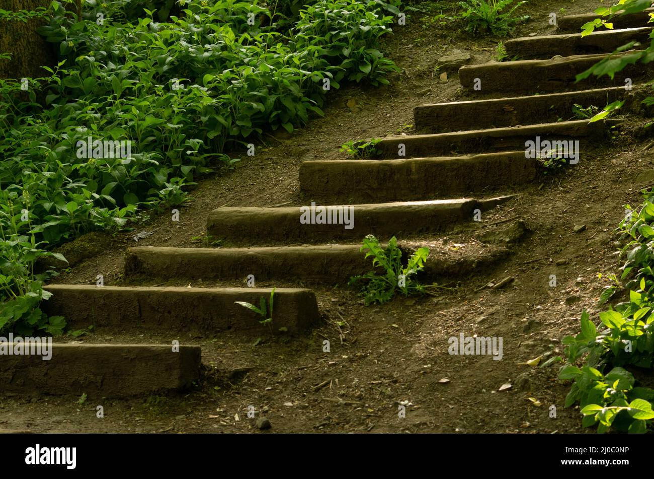wooden steps set into the ground Stock Photo - Alamy