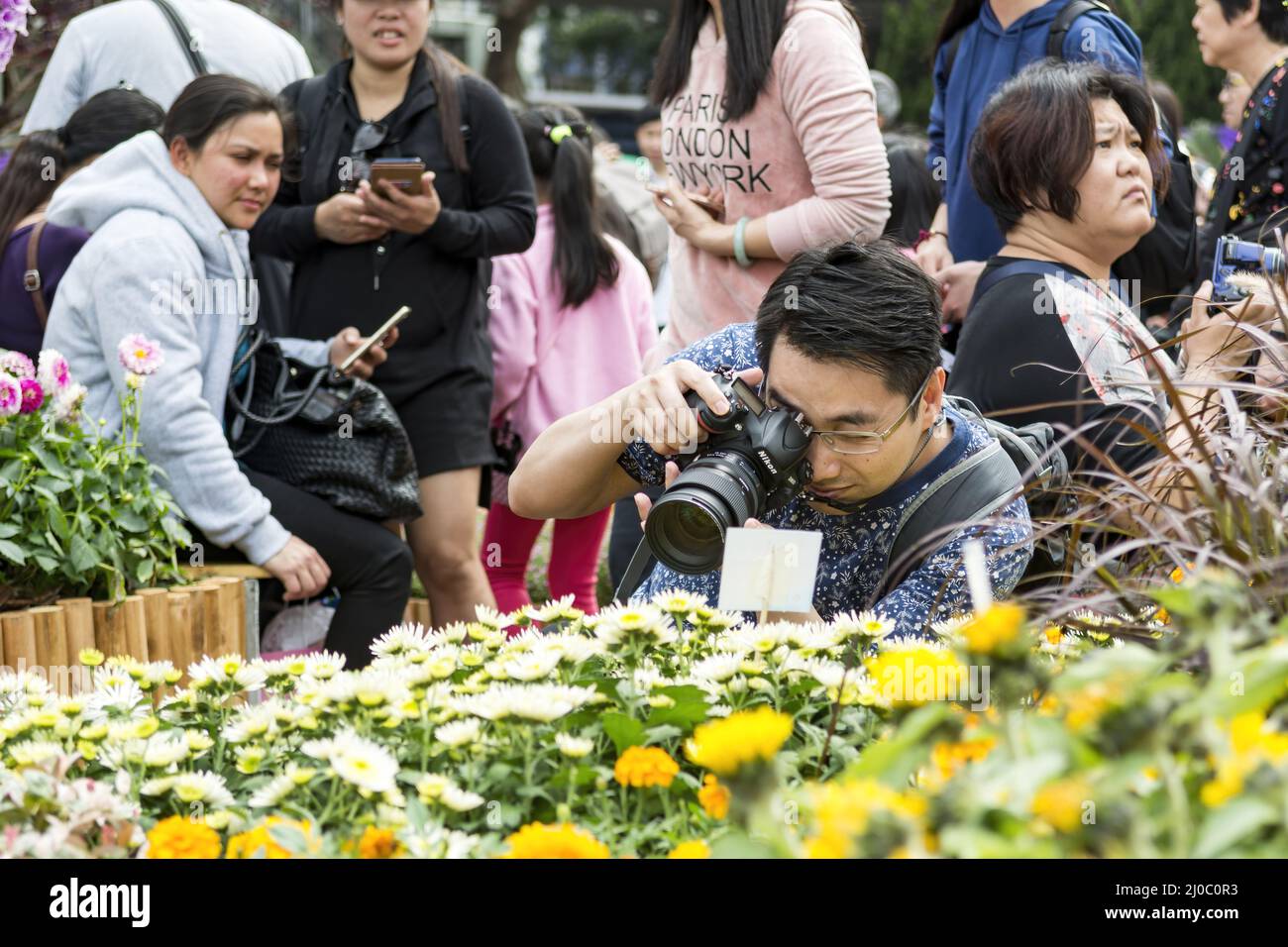 Taking photos of flowers in the Hong Kong Flower Show, Victoria Park ...