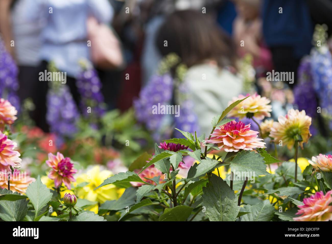 Victoria park hong kong nature hi-res stock photography and images - Alamy